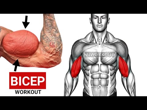 8 Best Exercises to build Strong Arms | Biceps Workout - YouTube