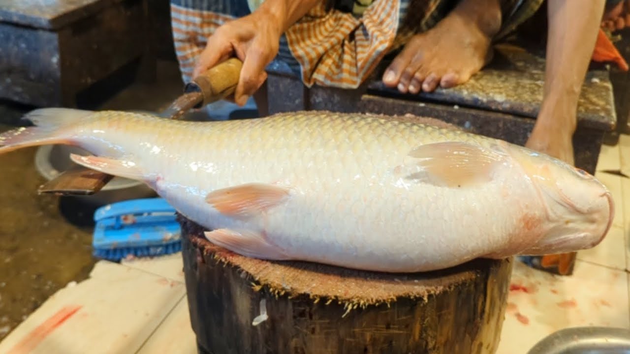 Never Seen!! Giant Monster Mrigal Fish Cutting & Skinning Skills In ...