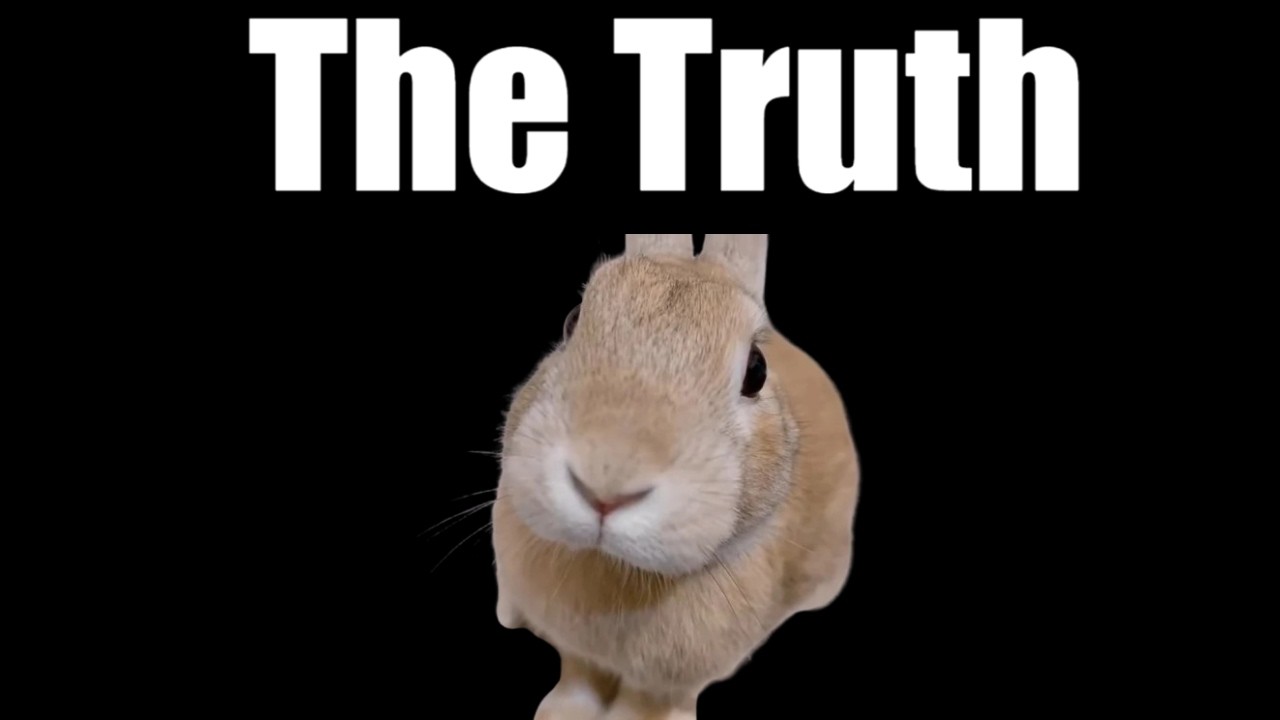 The Dark Truth About Roblox's Slungus - YouTube