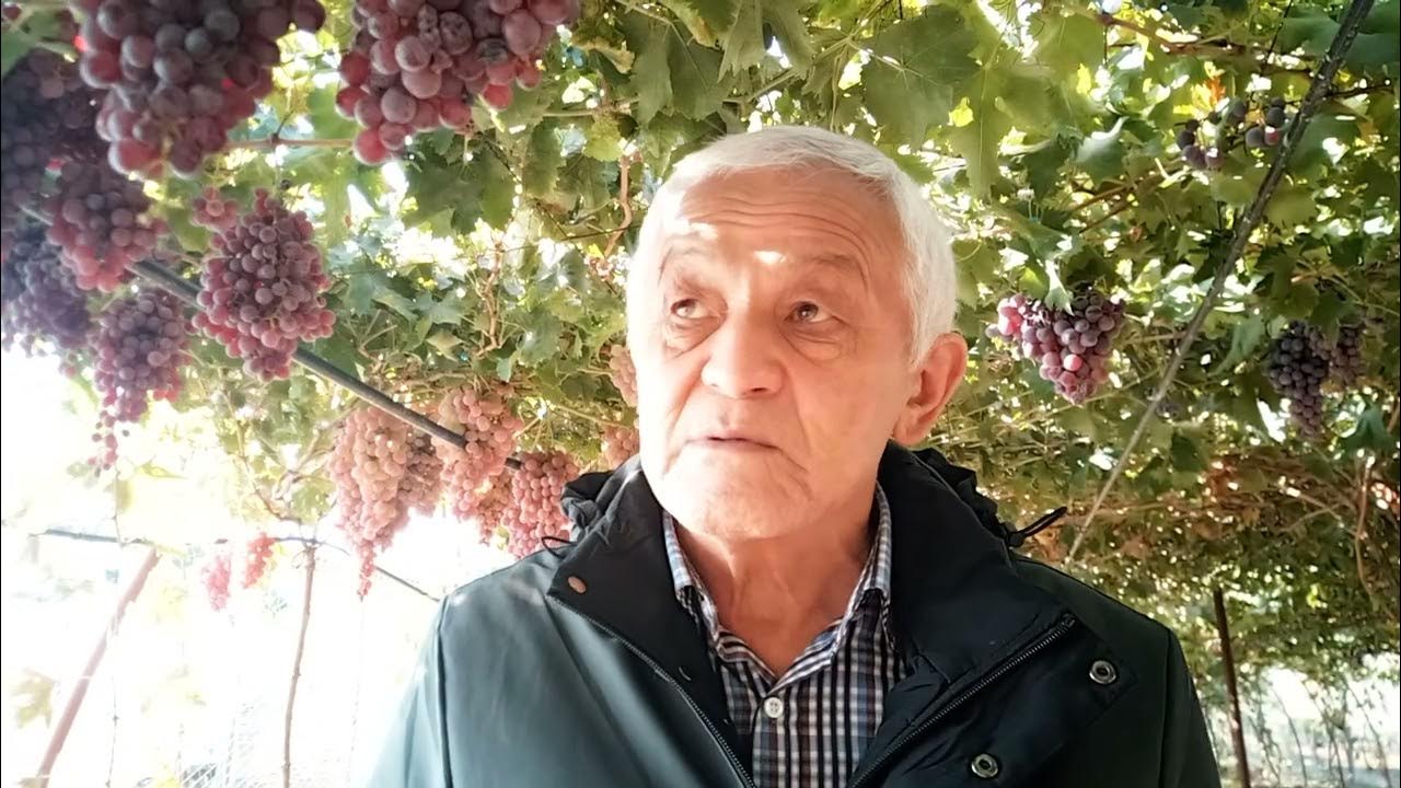 Сарыгулов Султан | 16.10.24 UzumFermer - YouTube