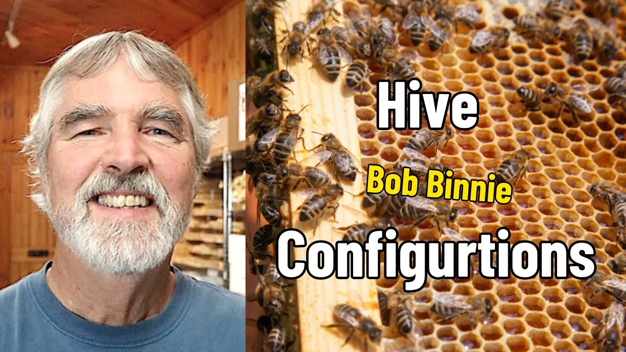 Beekeeping | Hive Configurations WITH Bob Binnie - YouTube
