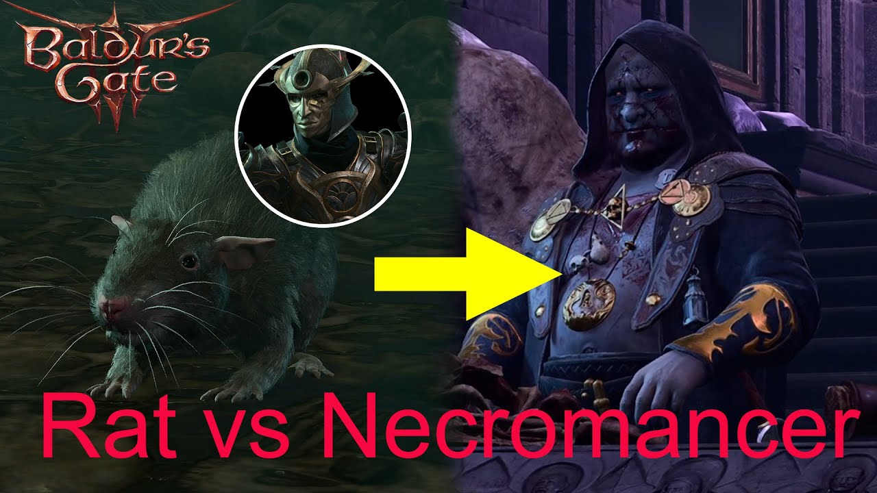 BG3: What happens if you lead Rat Justiciar to Balthazar - YouTube