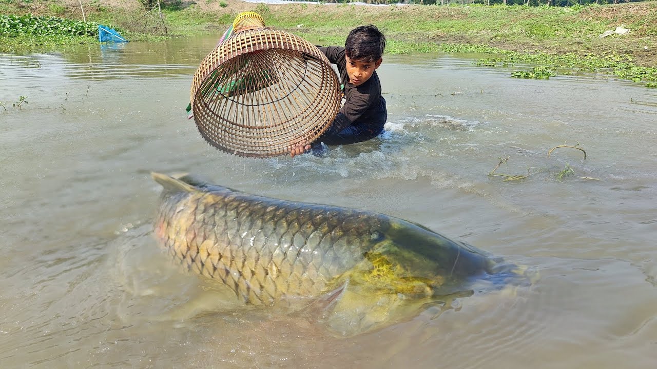 Traditional Polo Fishing Method | Village Boy Catching Fish By Bamboo ...