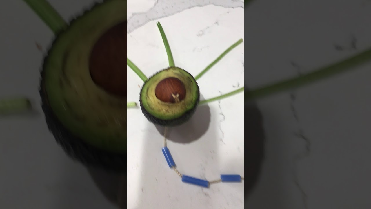 The Neuron - Household Items Video - YouTube