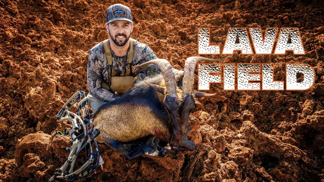 BOWHUNTING a LAVA FIELD in HAWAII!! GOAT Catch n’ Cook - YouTube