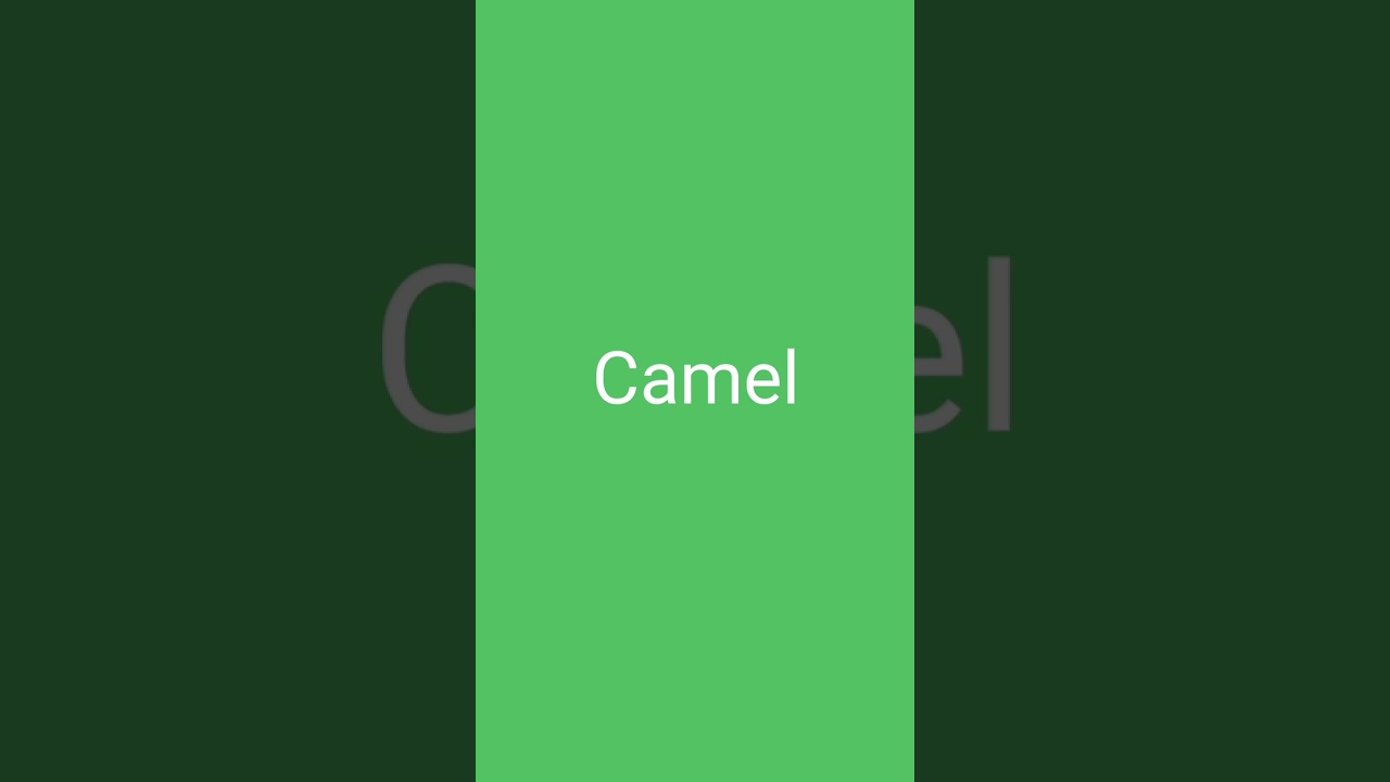 Desert Animal Name In English YouTube desert-animal-name-in-english-youtube