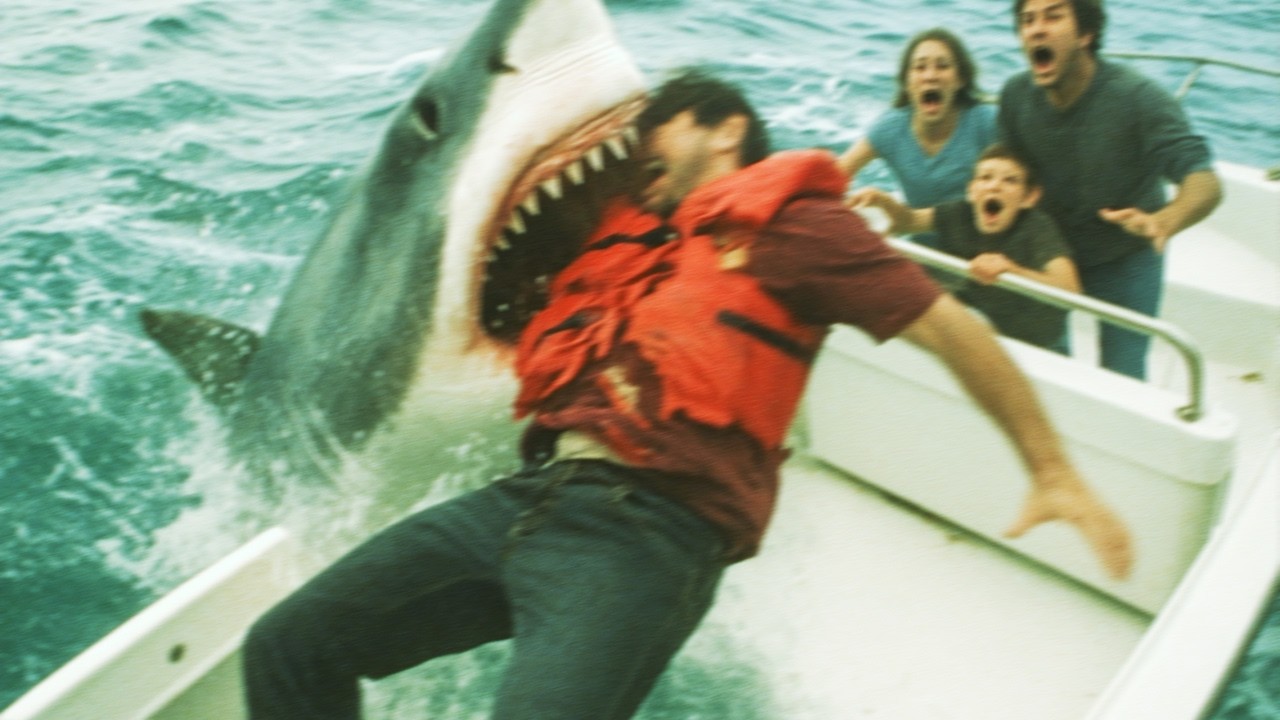 This Shark Attack Will Make You Avoid The Ocean Forever... - YouTube