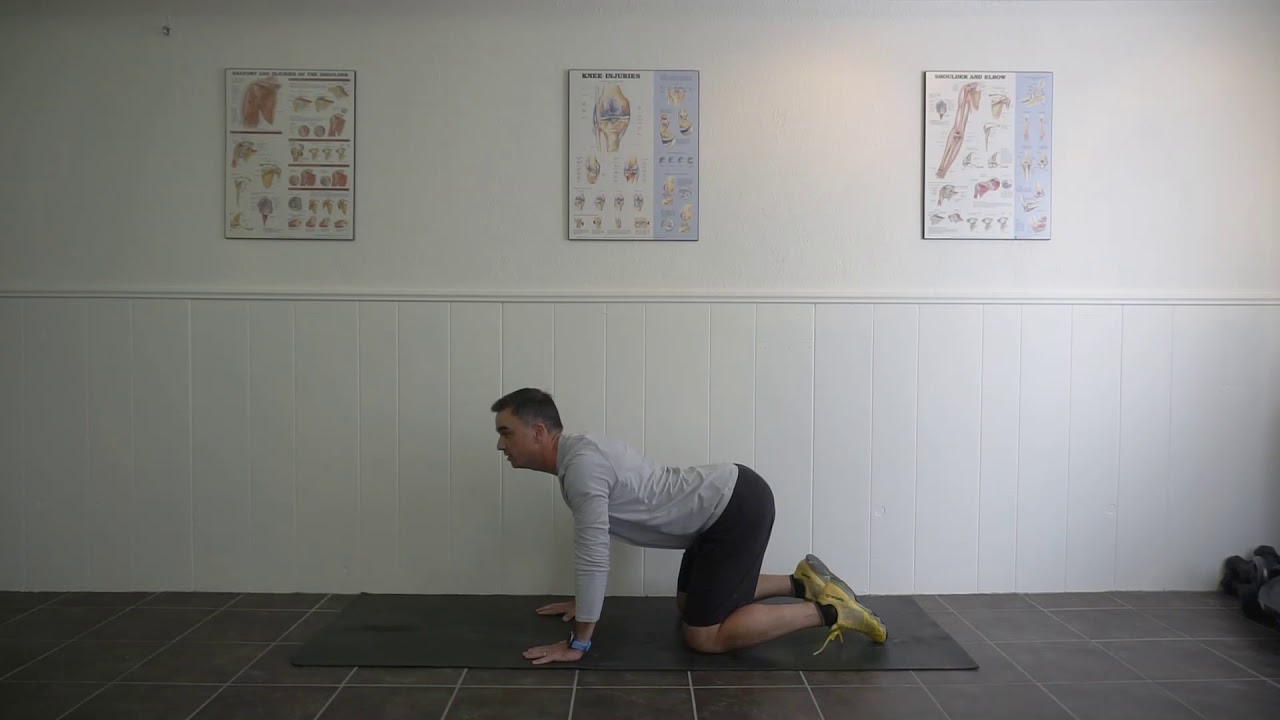 Modified Cat Cow - YouTube