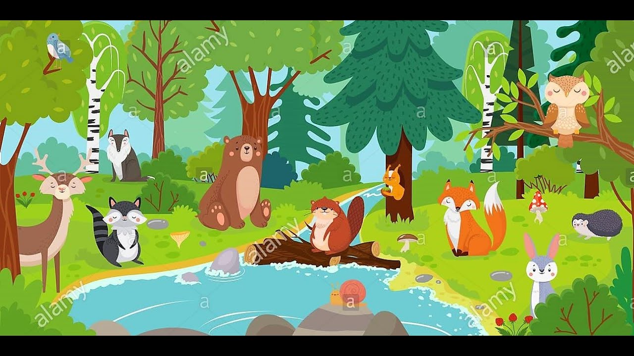 Love The Animals (G.K.)-SFC Class 1 - YouTube