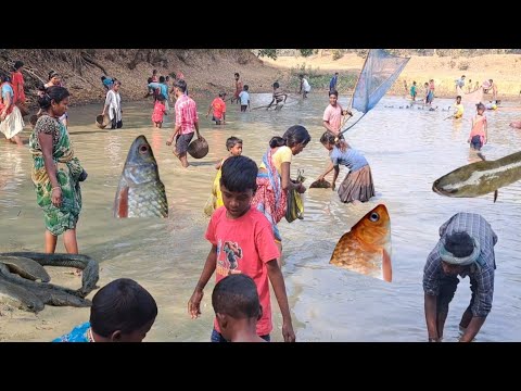 Village Style Fish Hunting // Indian Desi Village - YouTube