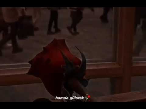 vacap üçün statuslar