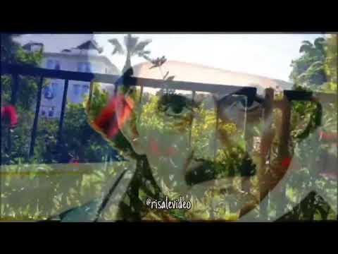 İnsan Kainatı içine alabilir ¦ Kısa Risale-i Nur Ders Videoları - TEFEKKÜRHANE