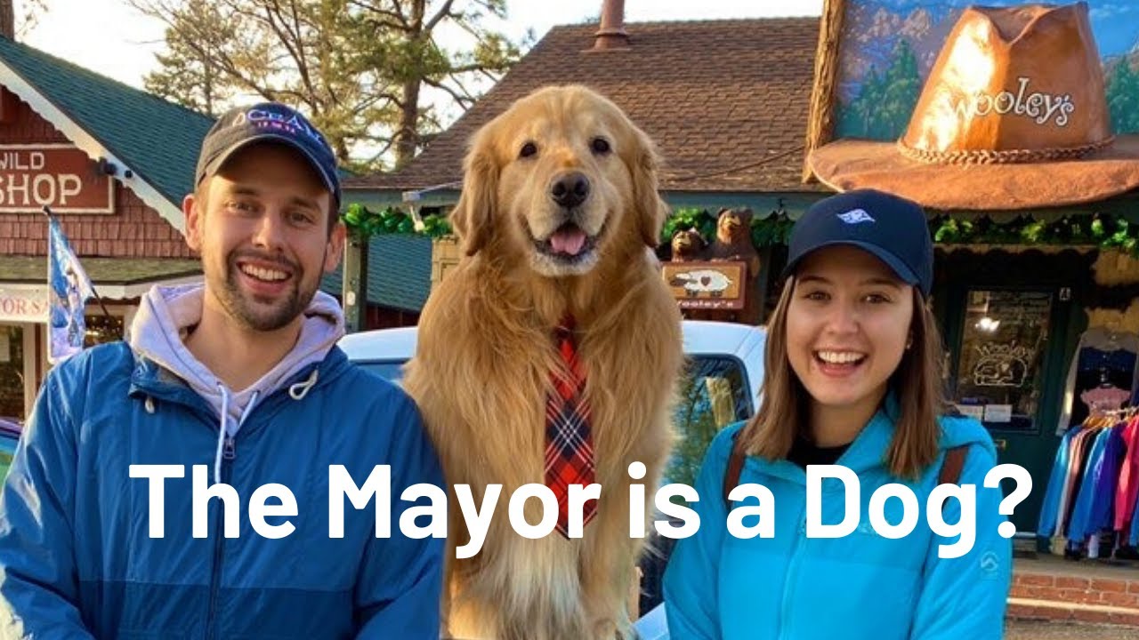 Meeting Mayor Max and Exploring the Mountains: California Vlog - YouTube