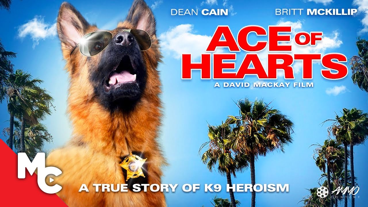 Ace Of Hearts Dog Rescue