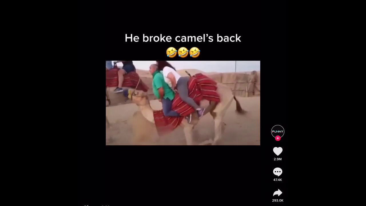 Funny tick-tock‘s - YouTube