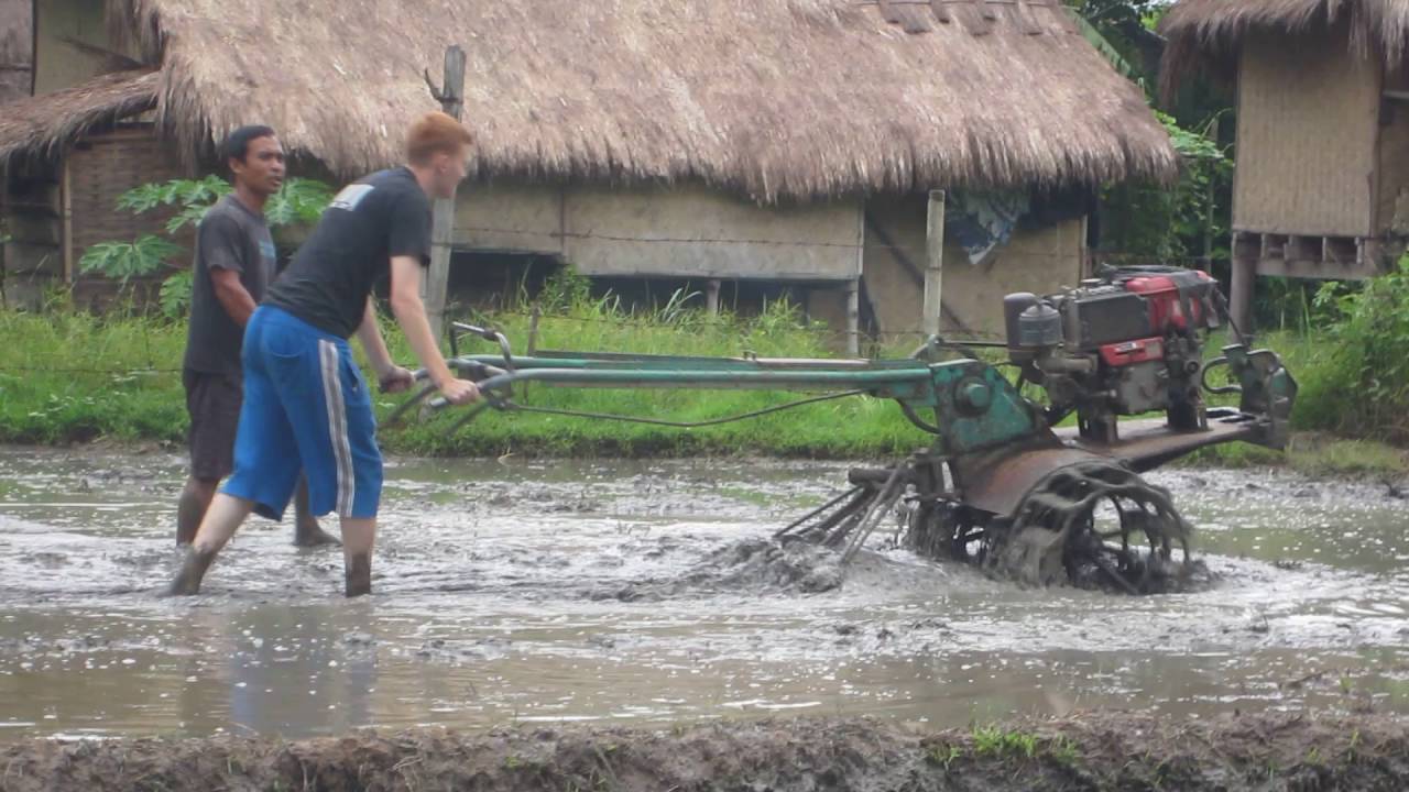 Philippines Rice Fields Tracktoring - YouTube