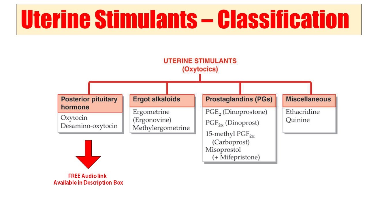 (22) Uterine Stimulants | Classification of Uterine Stimulants | AUDIO ...