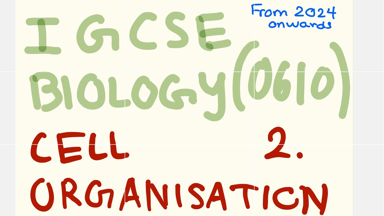 Chapter 2 - Cell Organization | Cambridge IGCSE 0610 Biology - YouTube