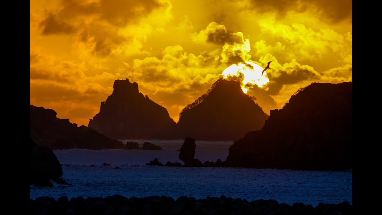 Blue Brazil - Trailer 2021 - YouTube