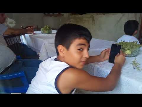 Niyametddin musayev yalanmis Seidin ifasinda