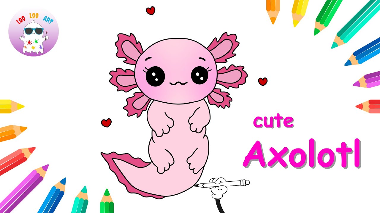 How To Draw A Baby Axolotl | How to Draw an Axolotl Salamander Easy ...