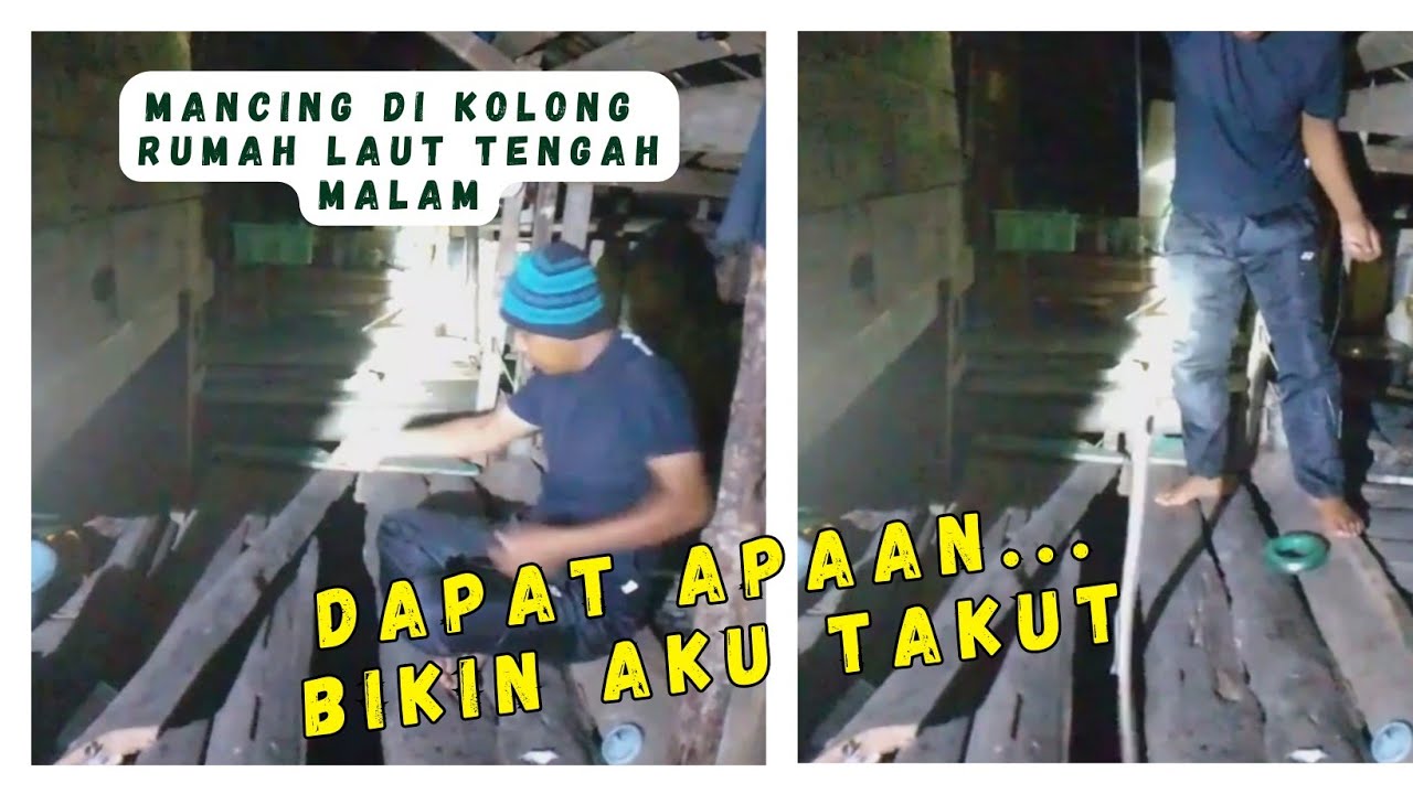 Tengah Malam Mancing Di Kolong Rumah Laut, Hasilnya Mencengangkan - YouTube