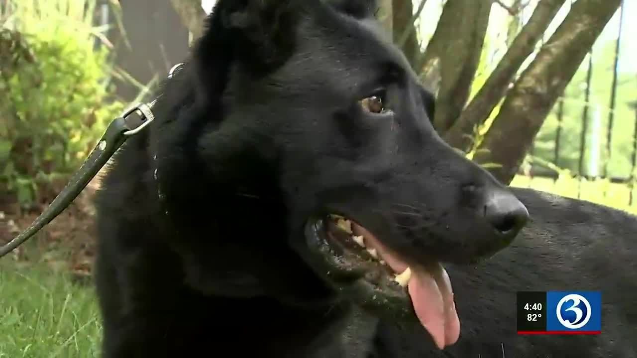 Meet K9 Rocco from State Police Troop F - YouTube