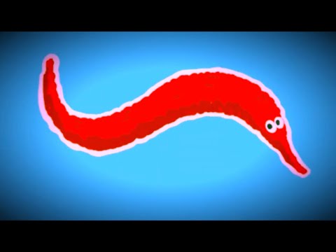 They Might Be Giants - Dr. Worm (lyrics)