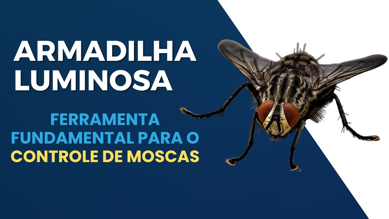 Armadilhas Luminosas uma ferramenta fundamental para o controle de ...