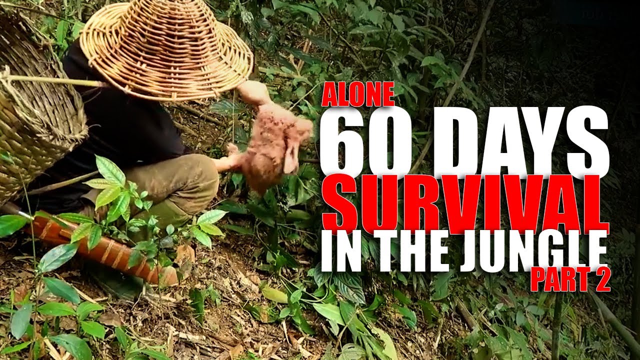 60 days jungle survival part2 | Jungle Life | Jungle Survival - YouTube