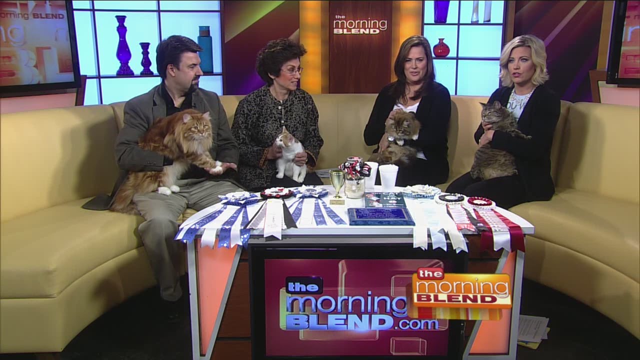 A One-of-a-Kind Cat Show - YouTube