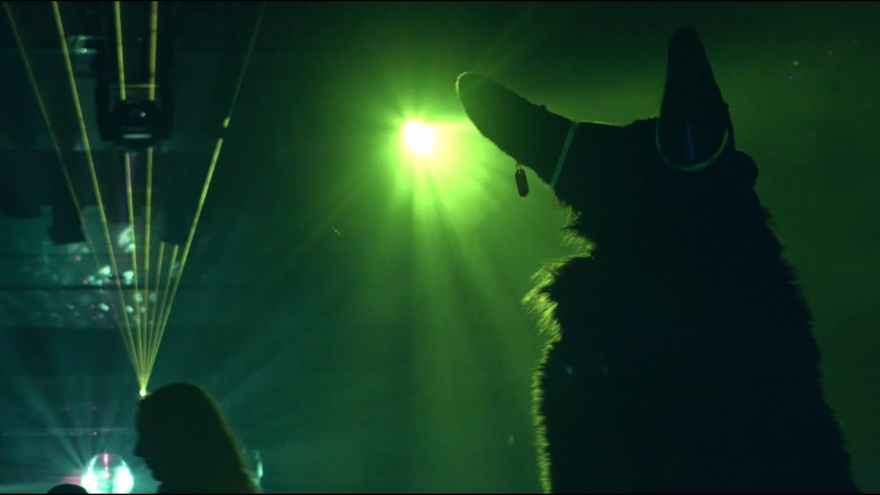 Furry Network Launch Trailer - YouTube