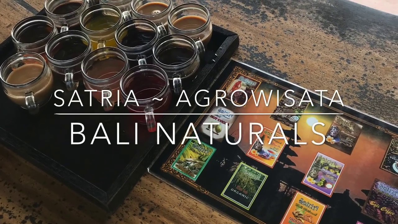 Satria-Agrowisata Bali Naturals | World’s Expensive Coffee | Luwak ...