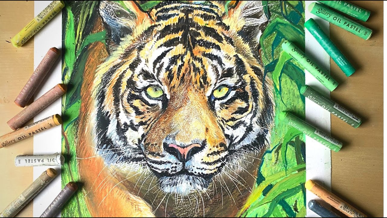 Tiger---oil pastel drawing - YouTube