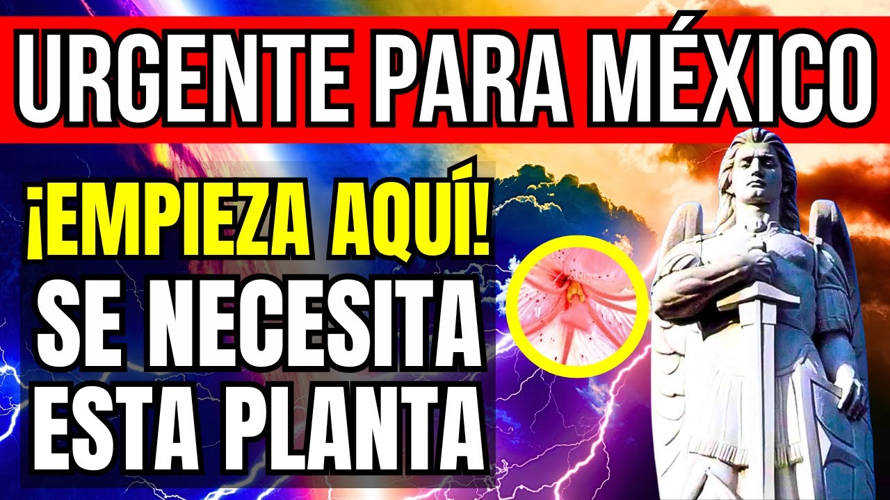 Revelación divina de hoy ¡ INDICACIONES A LORENA PORTILLO ! Mensaje de ...