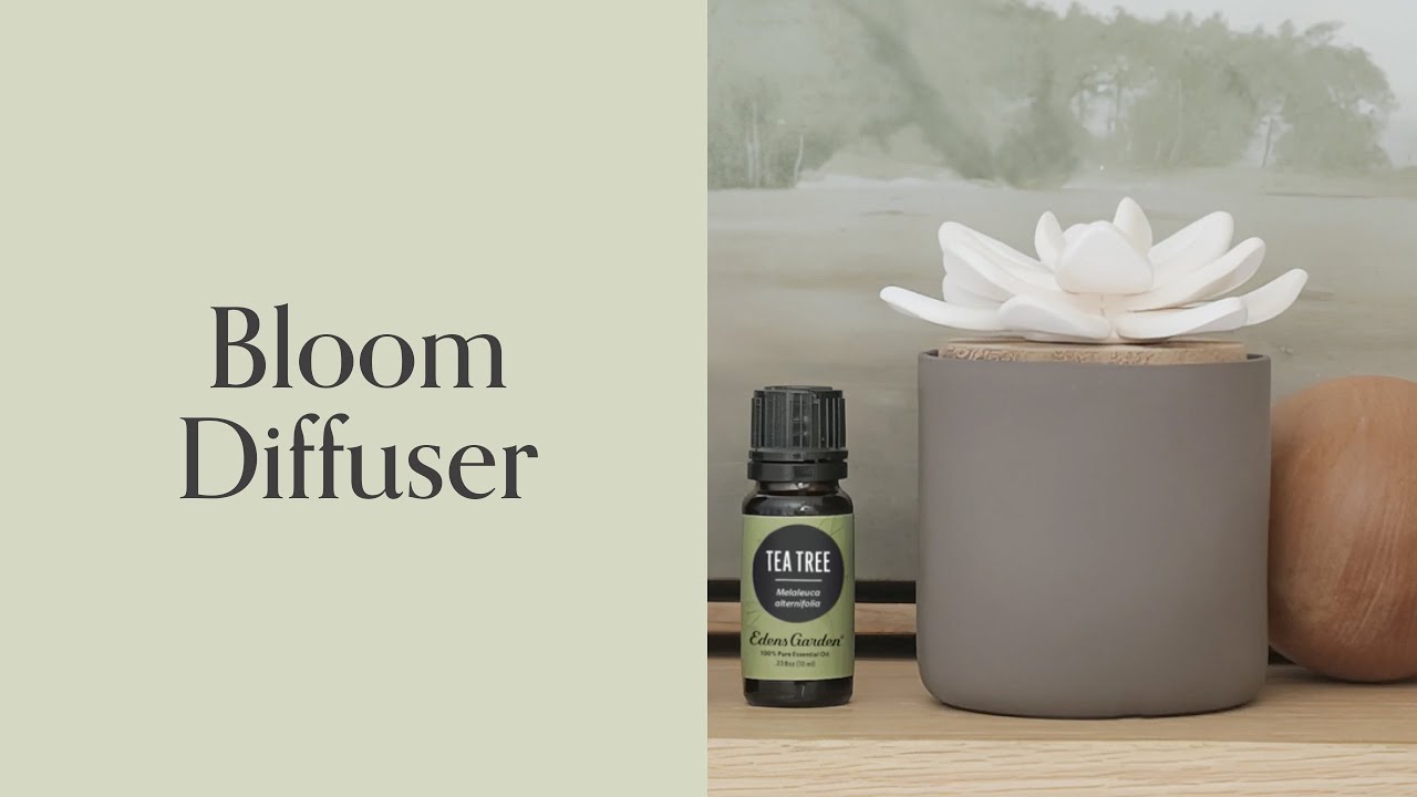 Bloom Diffuser - YouTube
