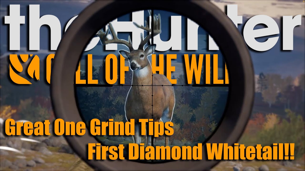 Great One Grind Tips You NEED + First Diamond Whitetail! | theHunter ...