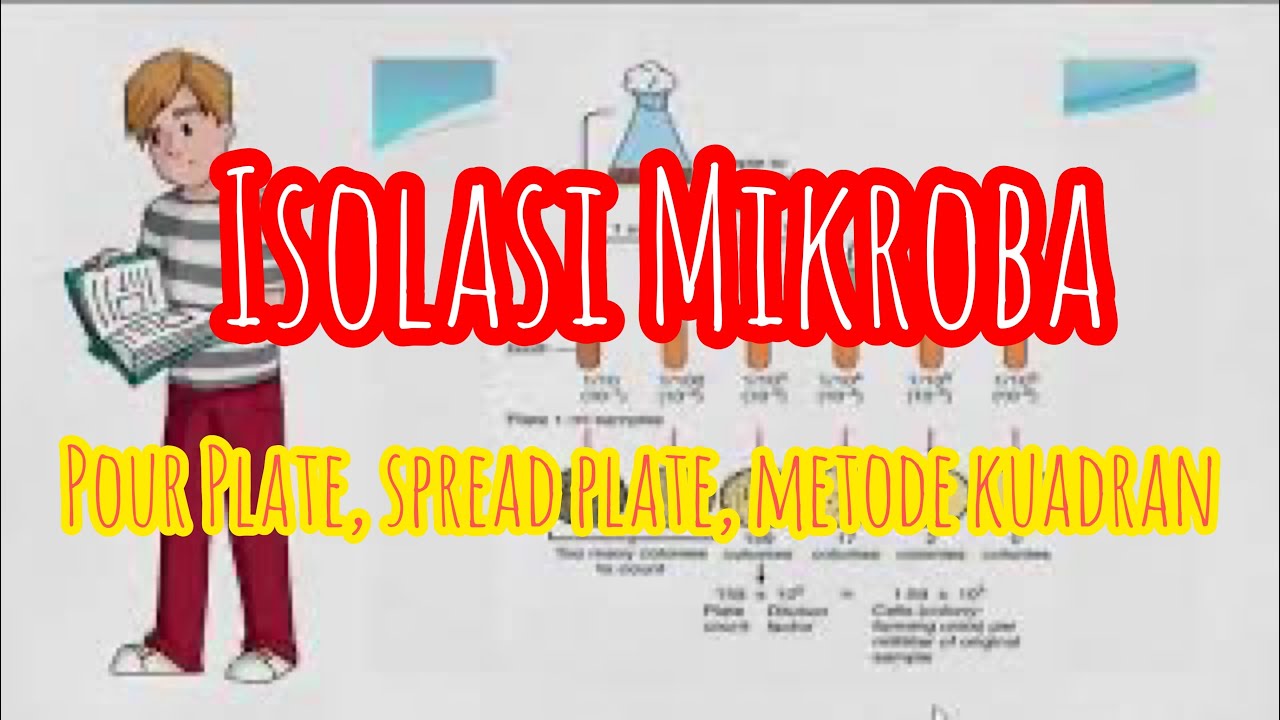 Metode Isolasi Mikroba (Bakteri dan Jamur) - YouTube