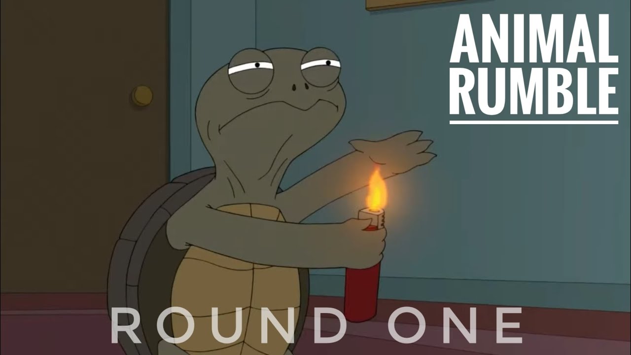 Animal Rumble Round 1 - Suite DMT v Gentlemans Liga | Animation ...