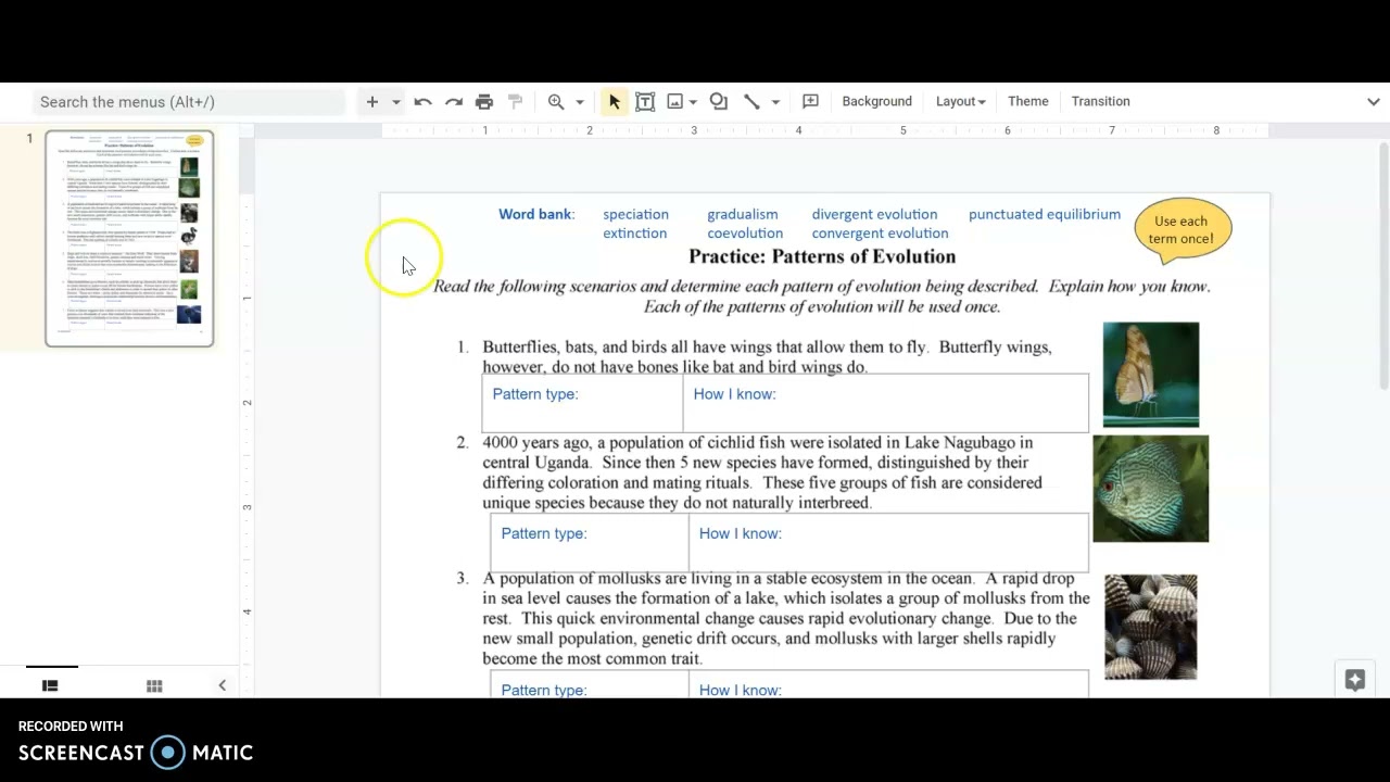 Bio: Patterns of Evolution - YouTube
