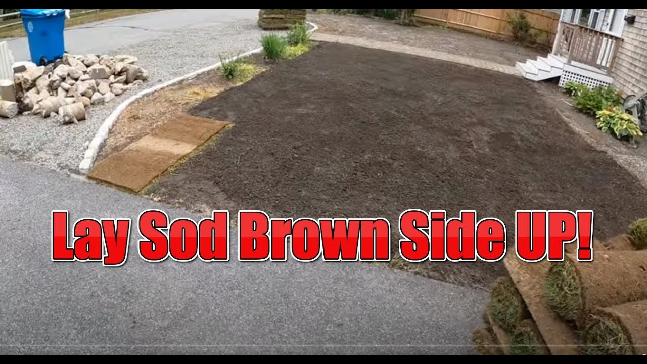 HOW TO Lay Sod | Lawn Installation - YouTube