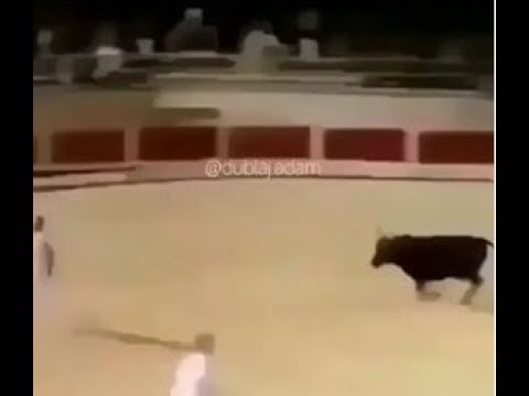 UÇAN DANA (AMERİKAN DUBLAJ)