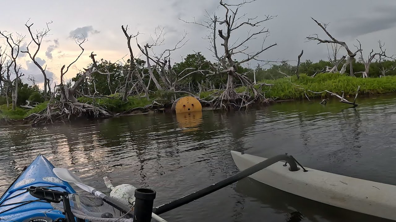Scary Stuff In The Florida Keys Backcountry. Fish at your own risk ...