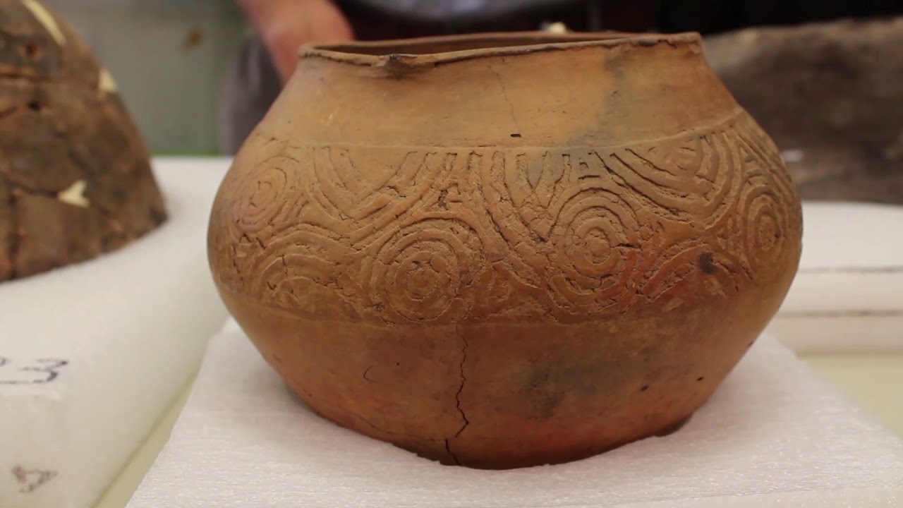 Southeastern Pottery with Dr Neill J. Wallis Florida Museum - YouTube