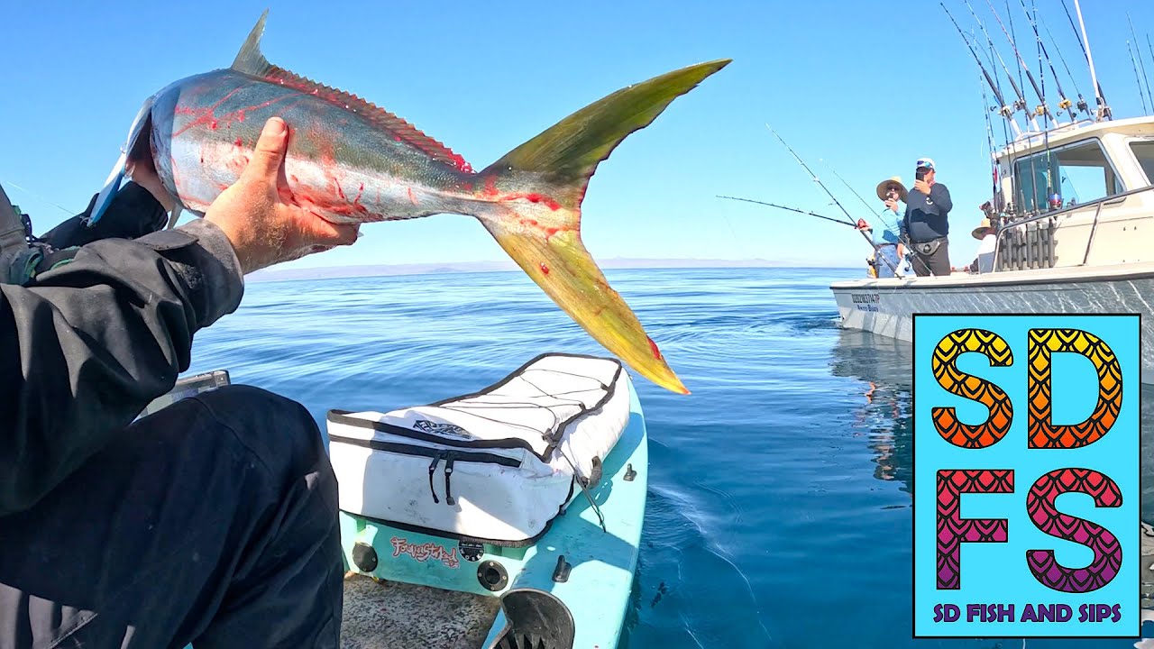 Solo Skiff Fishing Baja California Yellowtail, Grouper & Cabrilla at ...