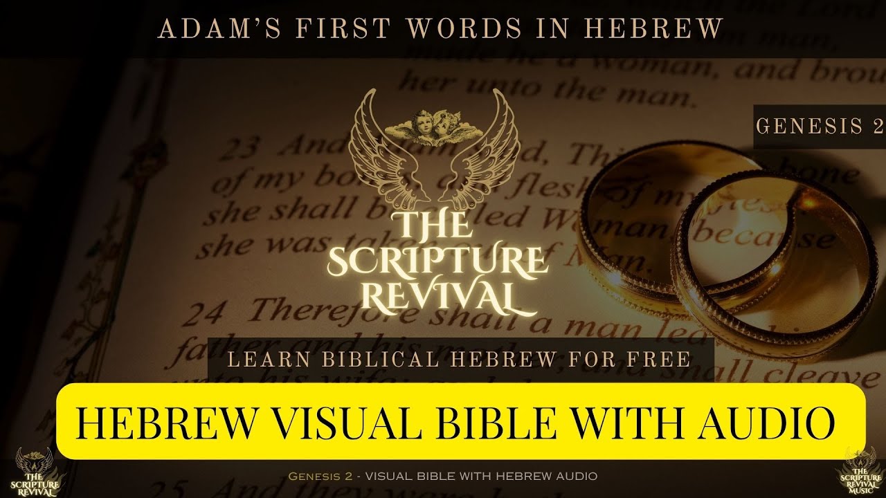 Genesis 2 IN BIBLICAL HEBREW | Hebrew Visual Bible | Creation of Adam ...