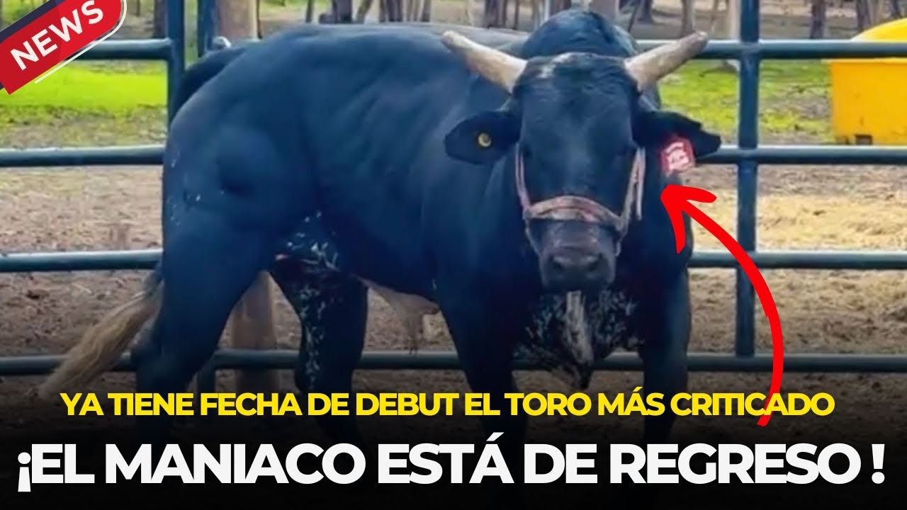 YA TIENE FECHA PAR EL DEBUT DEL TORO MÁS CRITICADO - YouTube