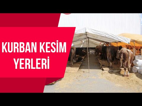 Ümraniye Belediyesi Kurban Kesim Yerleri. NTV HABER | Ümraniye Belediyesi