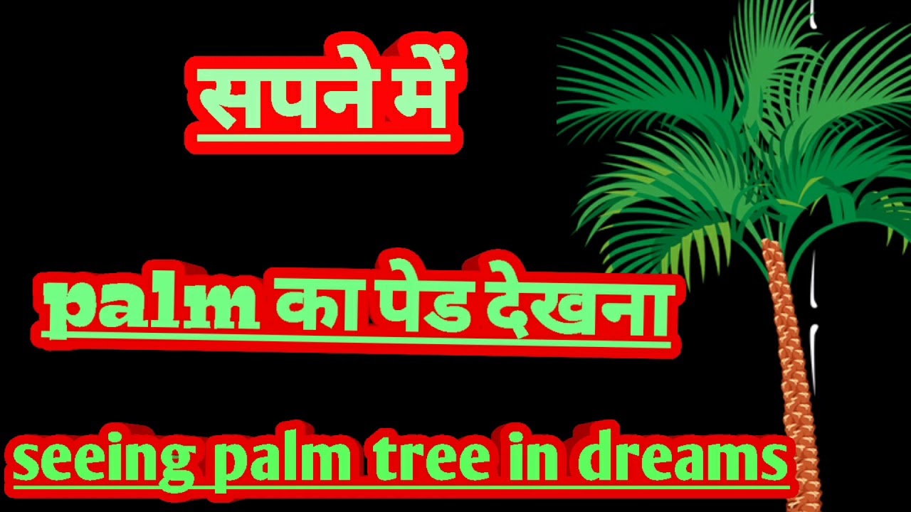 sapne me palm ka ped dekhna.seeingpalm tree in dreams. - YouTube