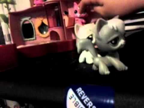 All my lps long hair cats - YouTube